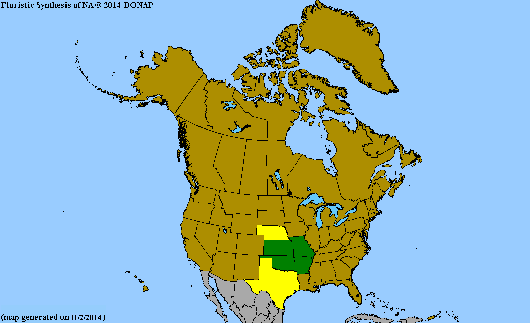 2013 BONAP North American Plant Atlas. TaxonMaps