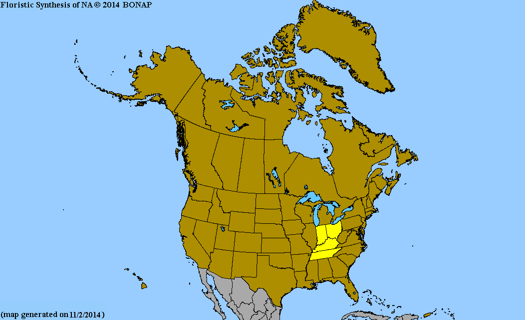 2013 BONAP North American Plant Atlas. TaxonMaps