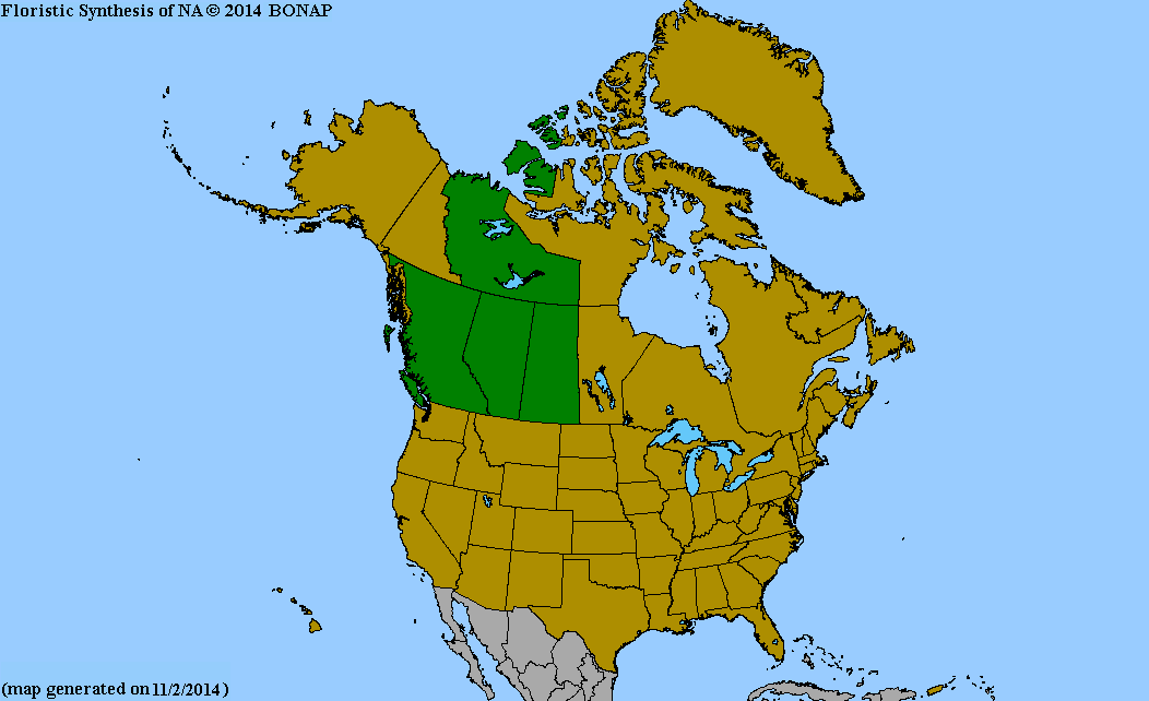 2013 BONAP North American Plant Atlas. TaxonMaps