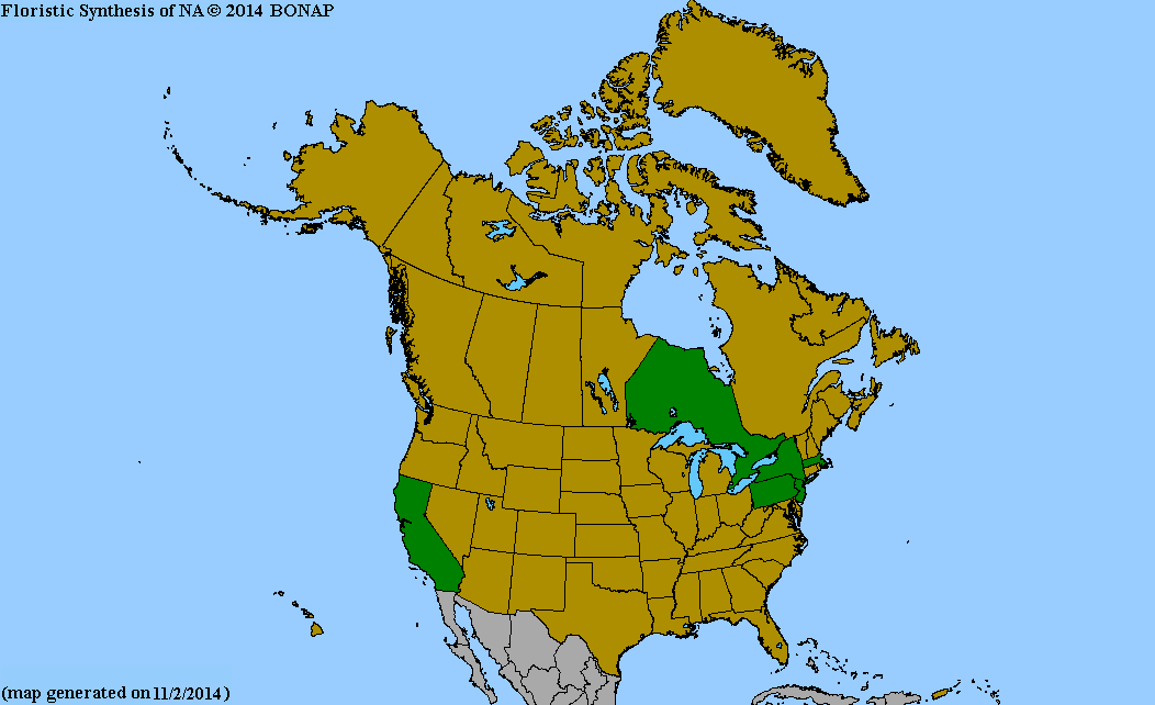 2013 BONAP North American Plant Atlas. TaxonMaps