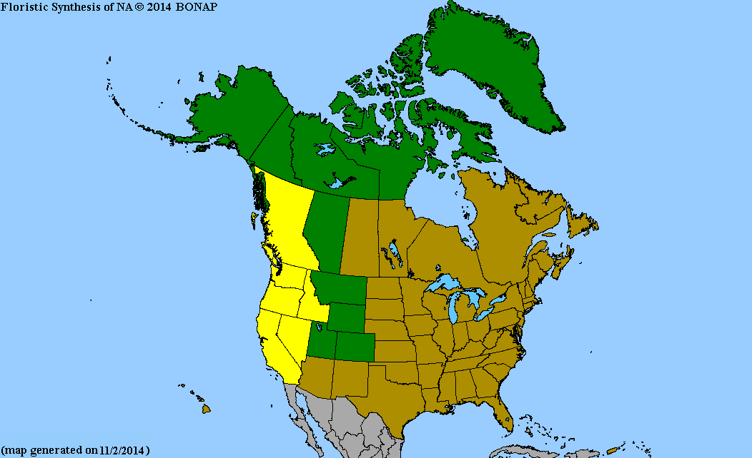 2013 BONAP North American Plant Atlas. TaxonMaps