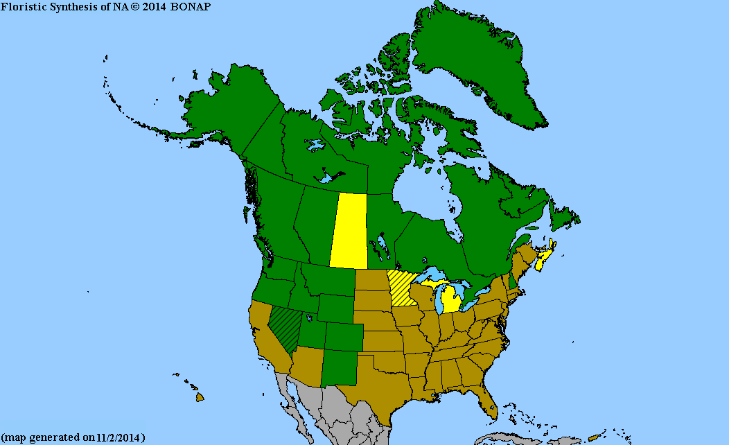 2013 BONAP North American Plant Atlas. TaxonMaps