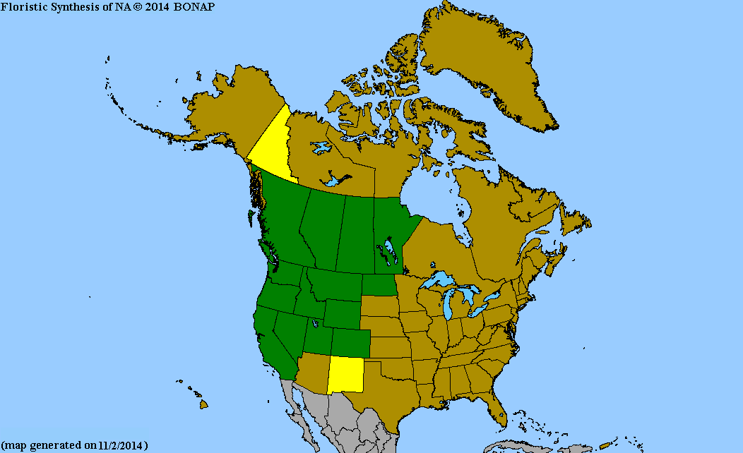 2013 BONAP North American Plant Atlas. TaxonMaps