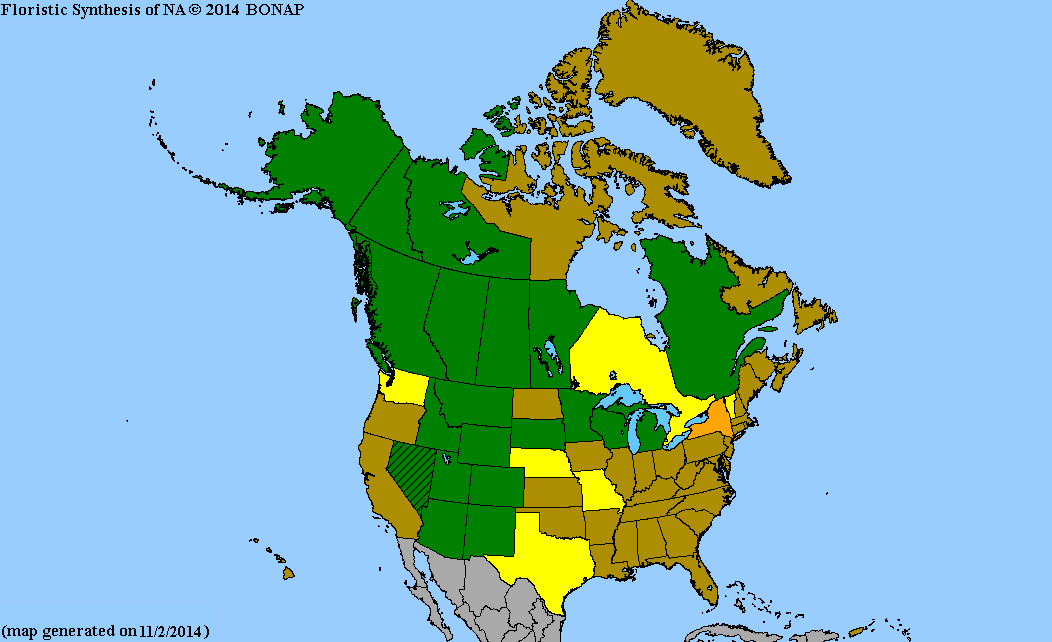2013 BONAP North American Plant Atlas. TaxonMaps