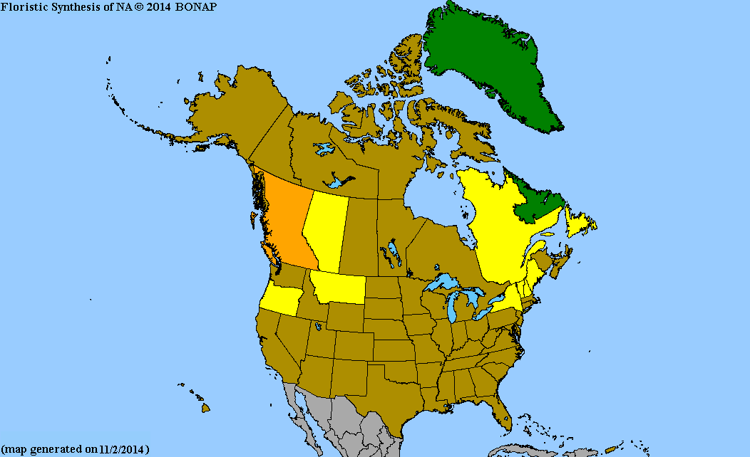 2013 BONAP North American Plant Atlas. TaxonMaps