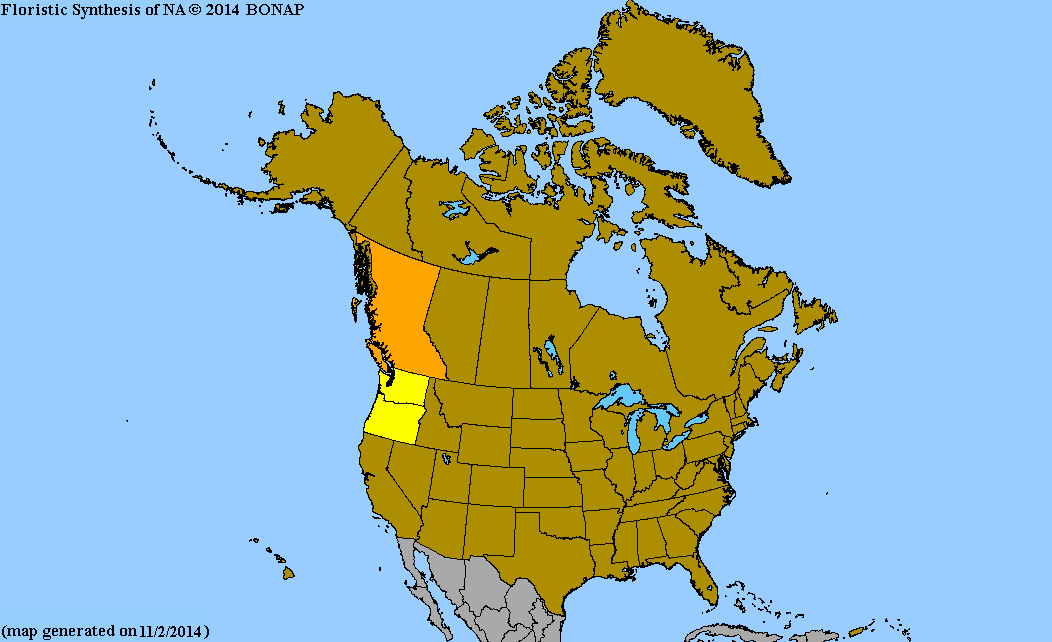 2013 BONAP North American Plant Atlas. TaxonMaps
