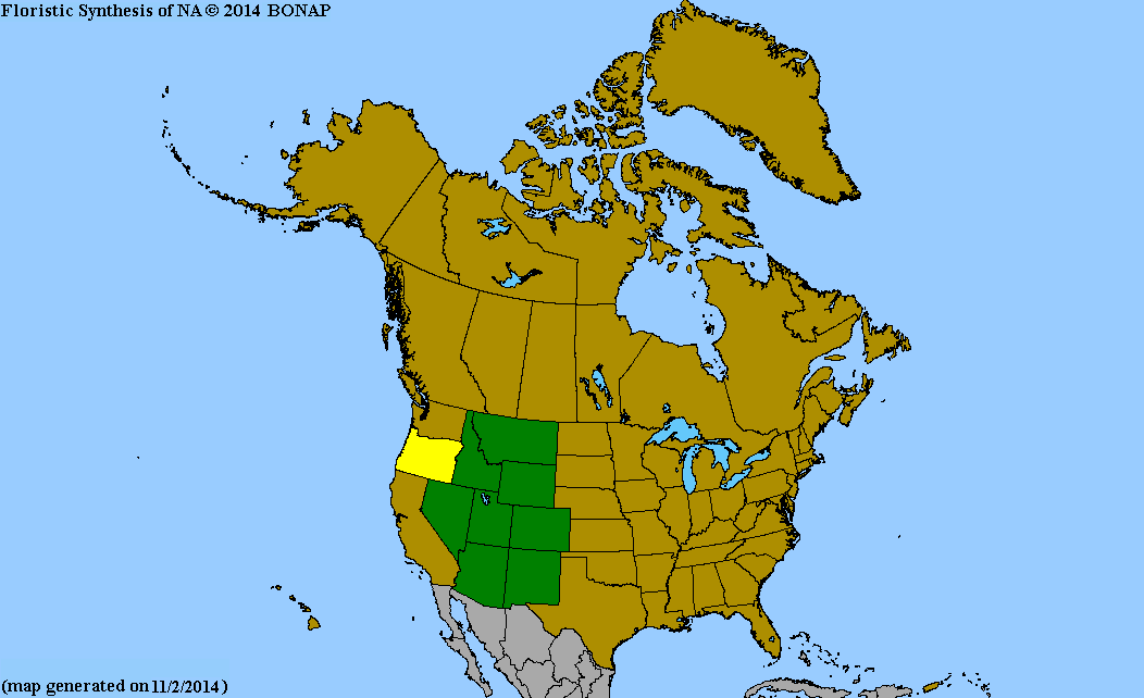 2013 BONAP North American Plant Atlas. TaxonMaps