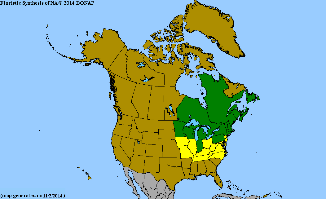 2013 BONAP North American Plant Atlas. TaxonMaps
