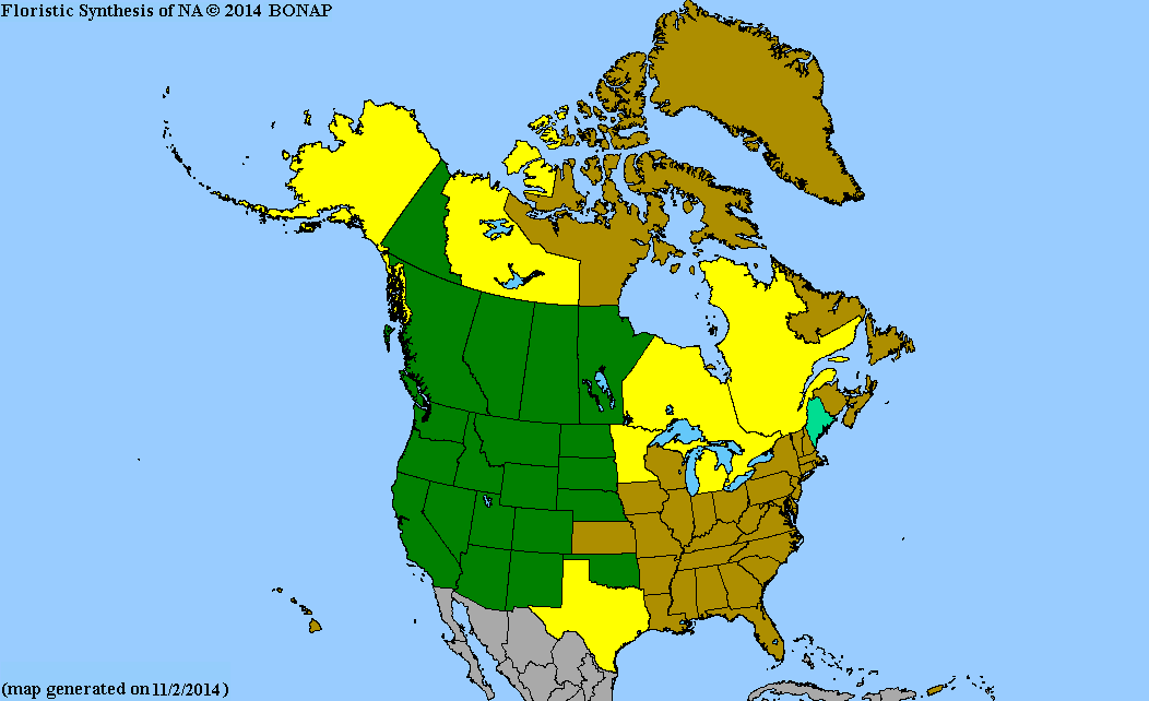 2013 BONAP North American Plant Atlas. TaxonMaps