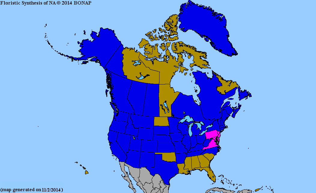 2013 BONAP North American Plant Atlas. TaxonMaps