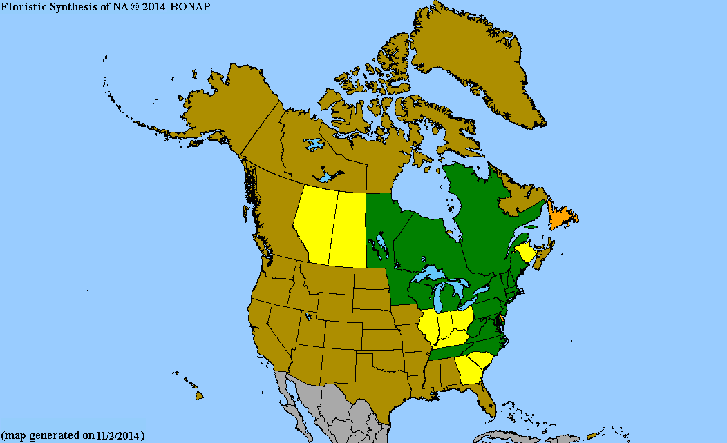 2013 BONAP North American Plant Atlas. TaxonMaps