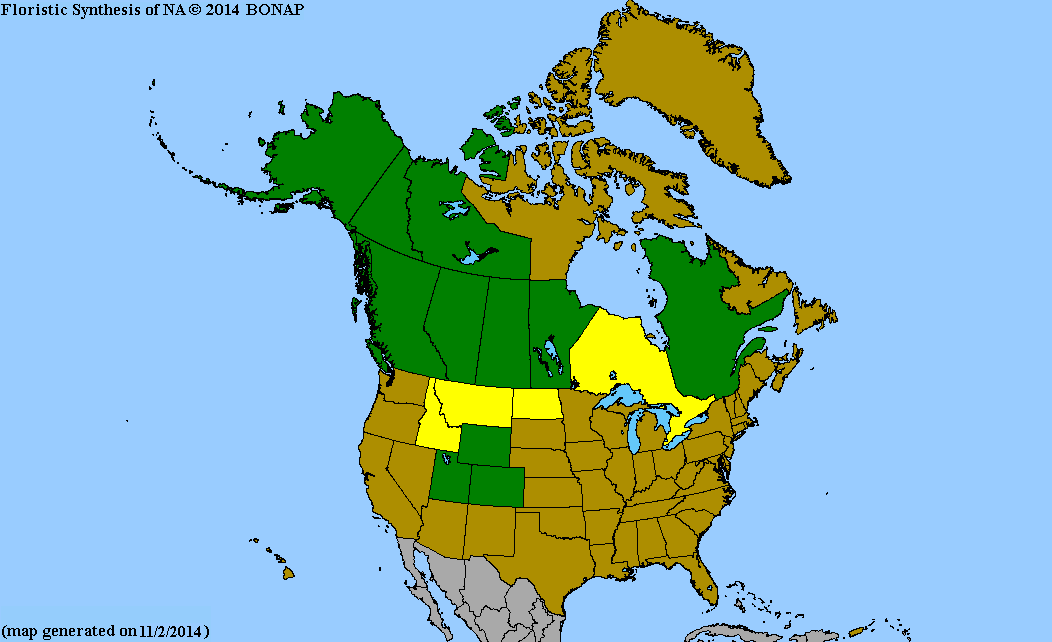 2013 BONAP North American Plant Atlas. TaxonMaps