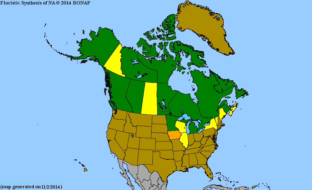 2013 BONAP North American Plant Atlas. TaxonMaps
