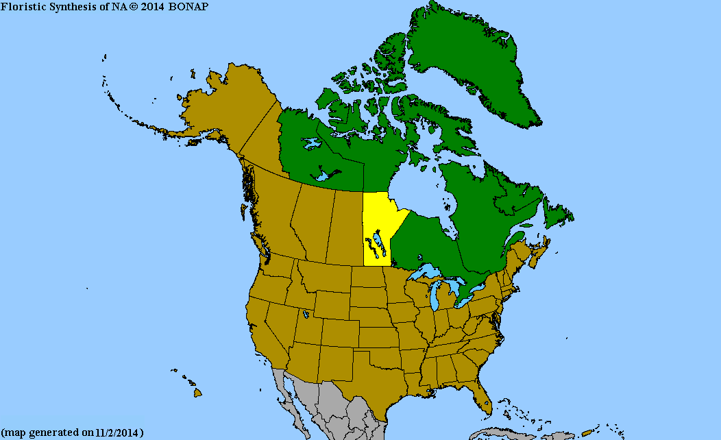 2013 BONAP North American Plant Atlas. TaxonMaps