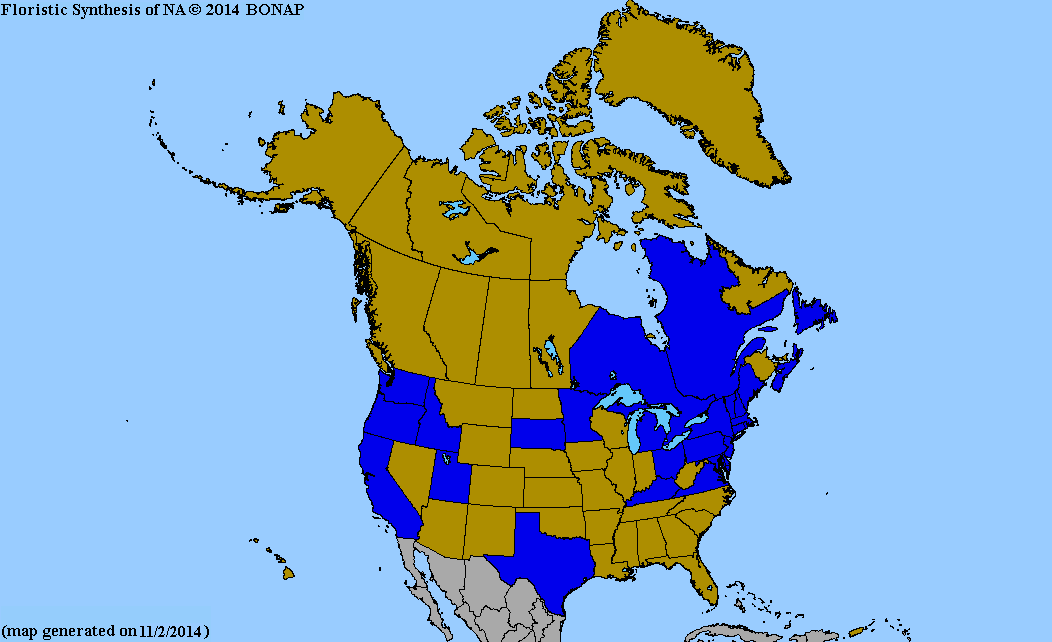 2013 BONAP North American Plant Atlas. TaxonMaps
