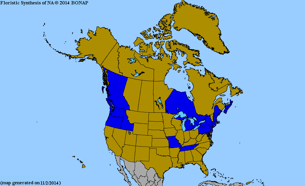 2013 BONAP North American Plant Atlas. TaxonMaps