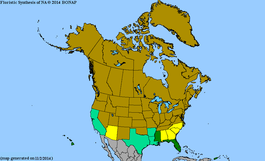 2013 BONAP North American Plant Atlas. TaxonMaps