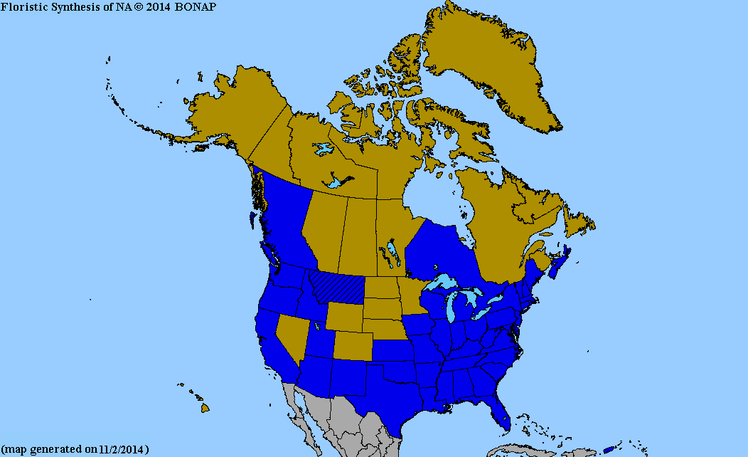2013 BONAP North American Plant Atlas. TaxonMaps