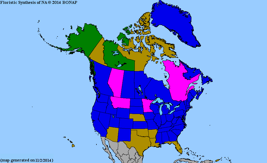 2013 BONAP North American Plant Atlas. TaxonMaps