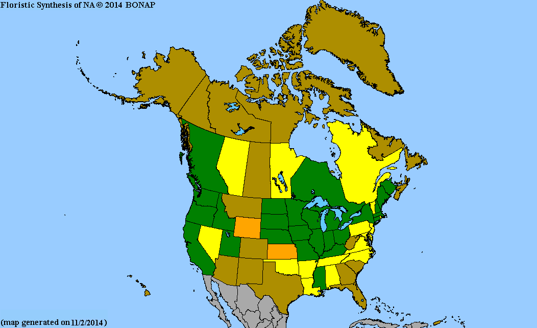 2013 BONAP North American Plant Atlas. TaxonMaps