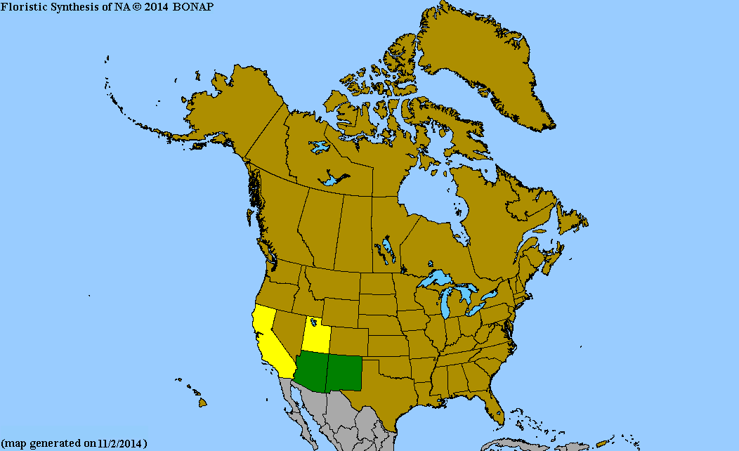 2013 BONAP North American Plant Atlas. TaxonMaps