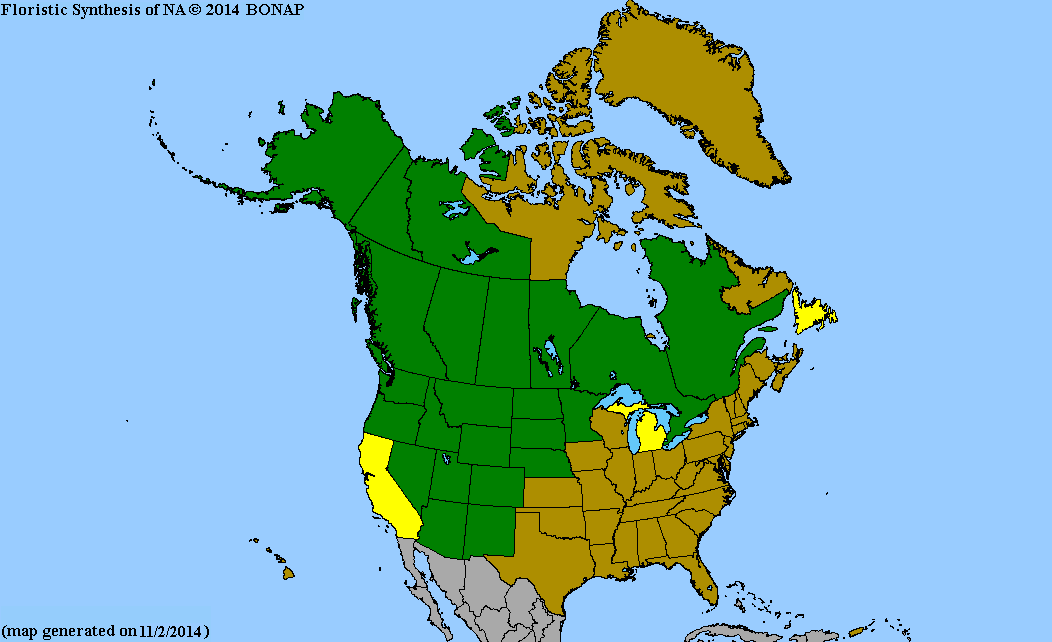 2013 BONAP North American Plant Atlas. TaxonMaps