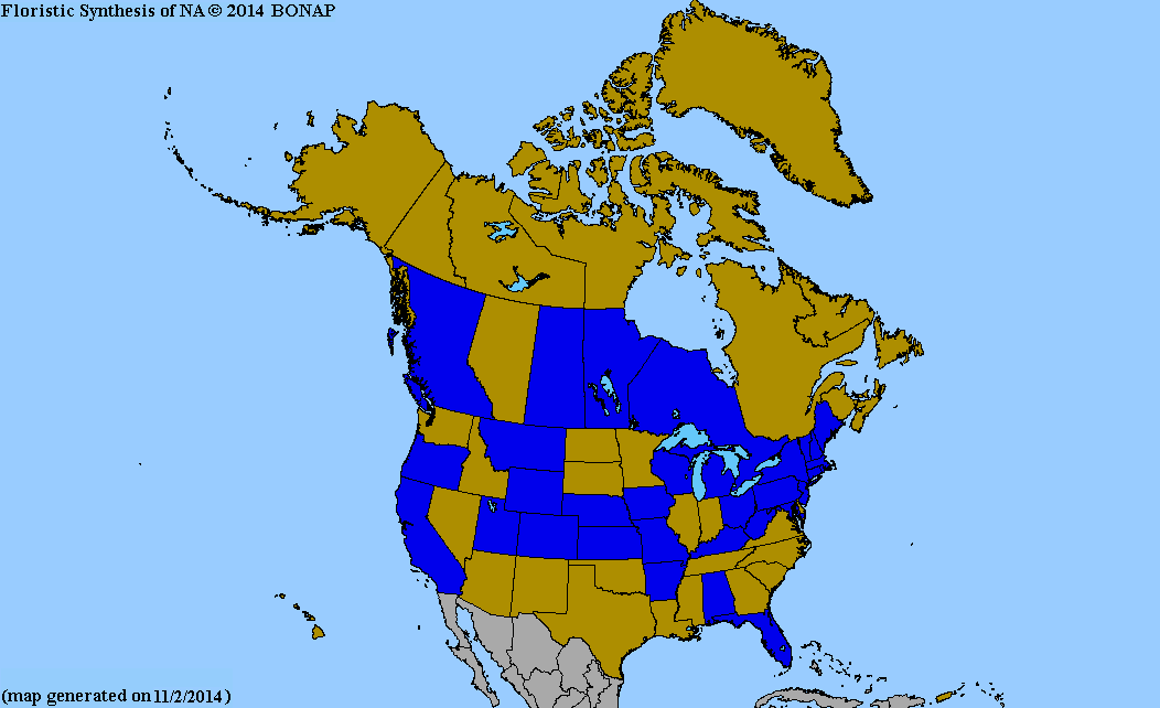2013 BONAP North American Plant Atlas. TaxonMaps