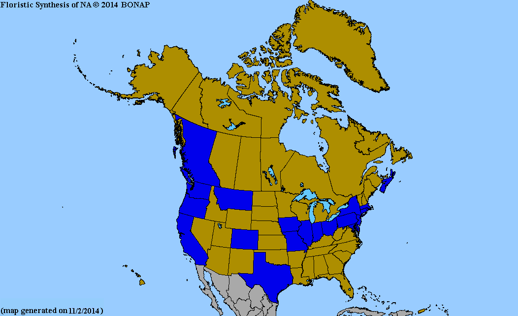 2013 BONAP North American Plant Atlas. TaxonMaps