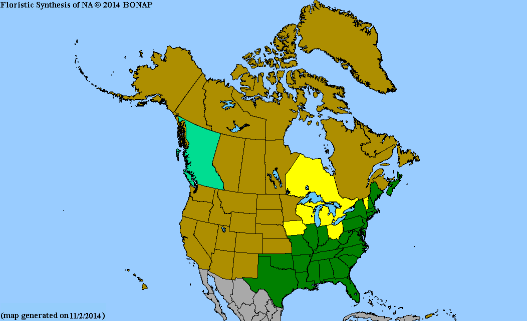 2013 BONAP North American Plant Atlas. TaxonMaps
