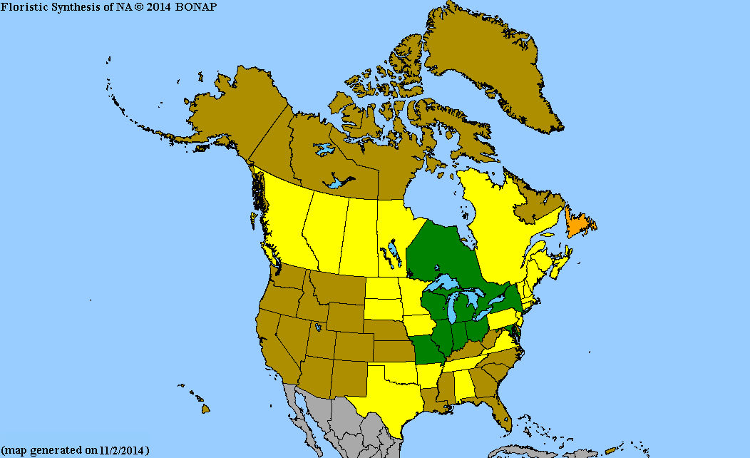 2013 BONAP North American Plant Atlas. TaxonMaps