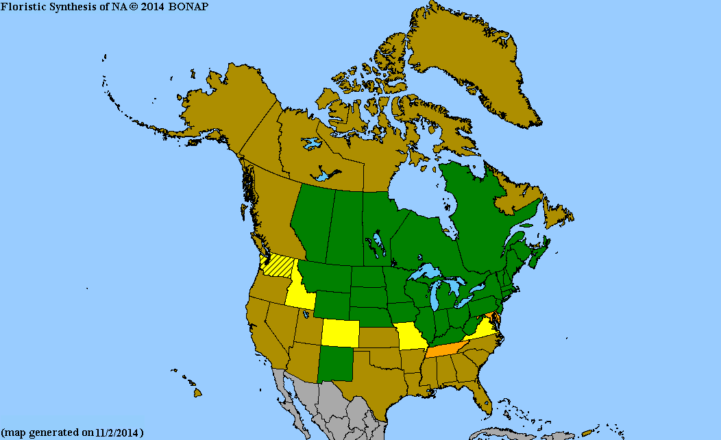 2013 BONAP North American Plant Atlas. TaxonMaps