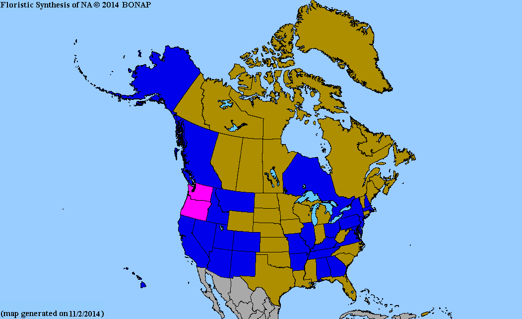 2013 BONAP North American Plant Atlas. TaxonMaps