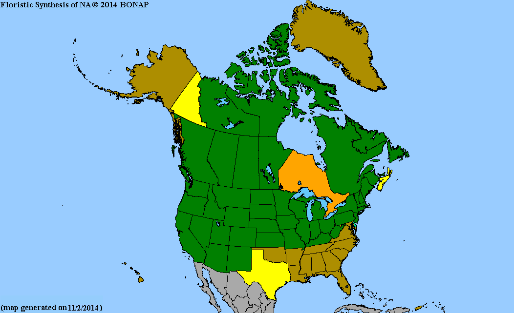 2013 BONAP North American Plant Atlas. TaxonMaps