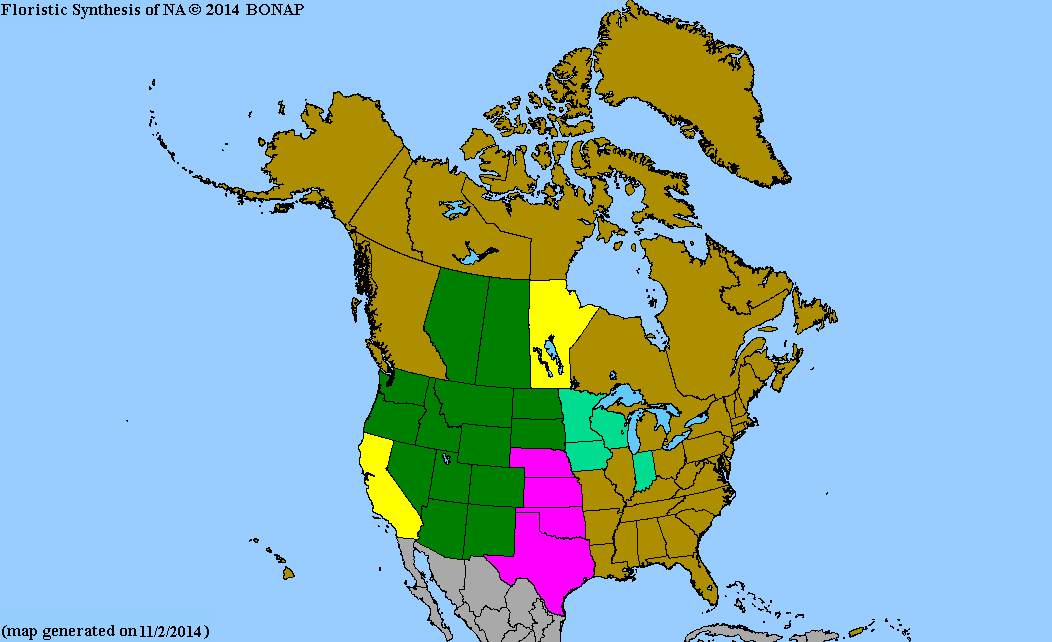 2013 BONAP North American Plant Atlas. TaxonMaps