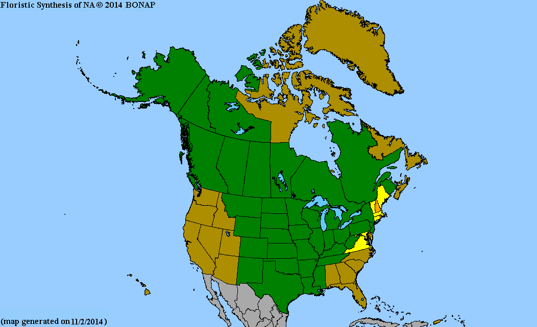2013 BONAP North American Plant Atlas. TaxonMaps
