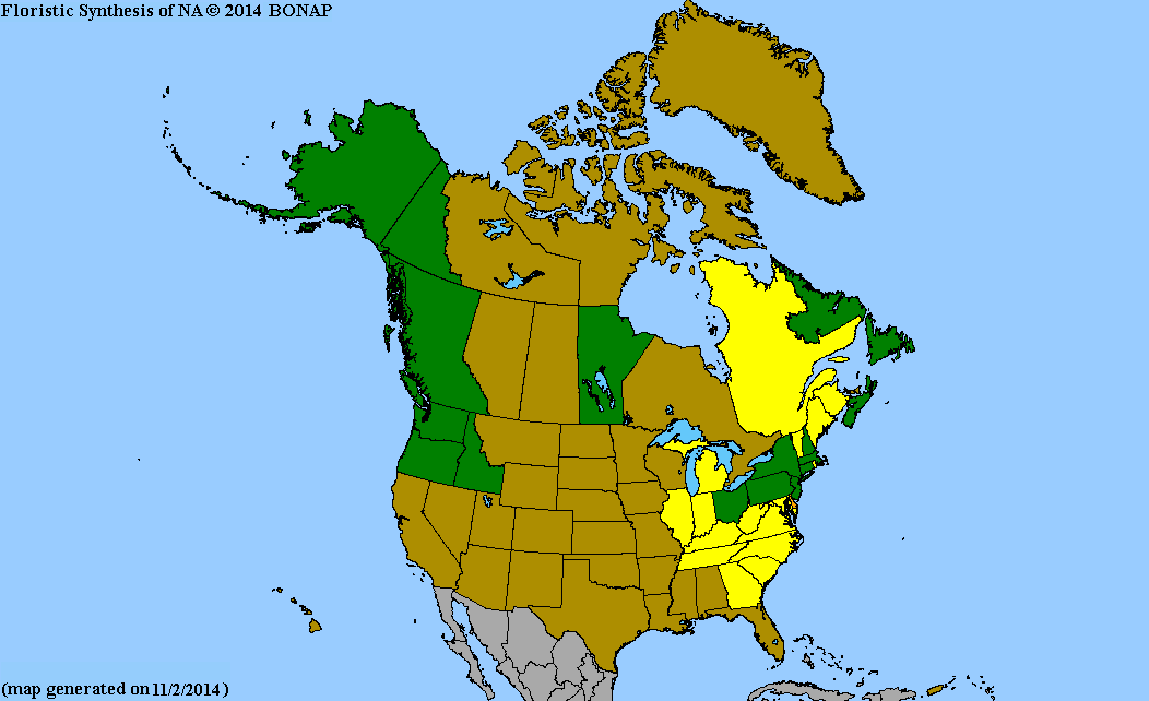 2013 BONAP North American Plant Atlas. TaxonMaps
