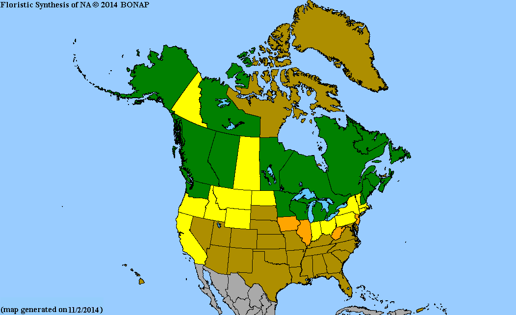 2013 BONAP North American Plant Atlas. TaxonMaps