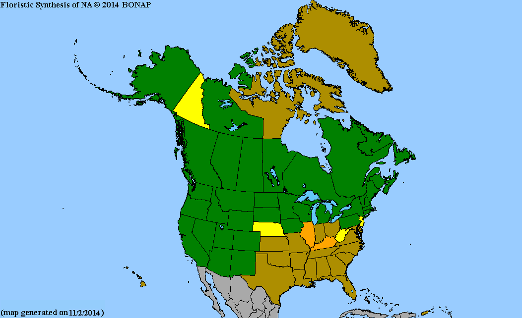 2013 BONAP North American Plant Atlas. TaxonMaps