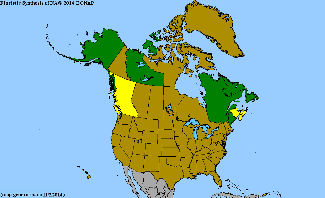 2013 BONAP North American Plant Atlas. TaxonMaps