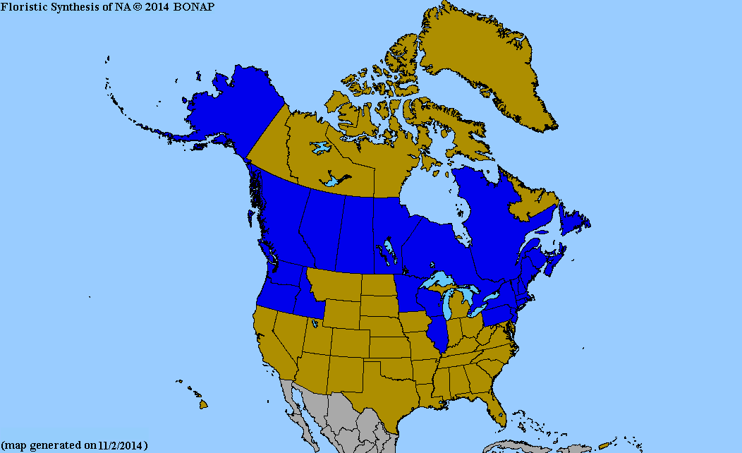 2013 BONAP North American Plant Atlas. TaxonMaps
