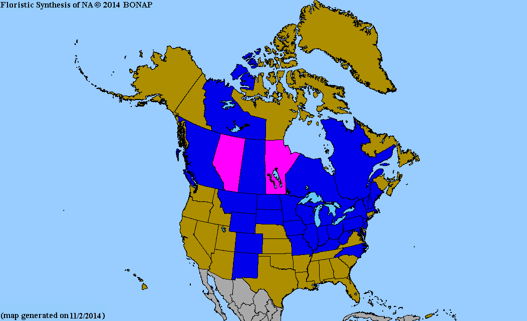 2013 BONAP North American Plant Atlas. TaxonMaps