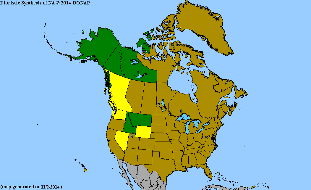 2013 BONAP North American Plant Atlas. TaxonMaps