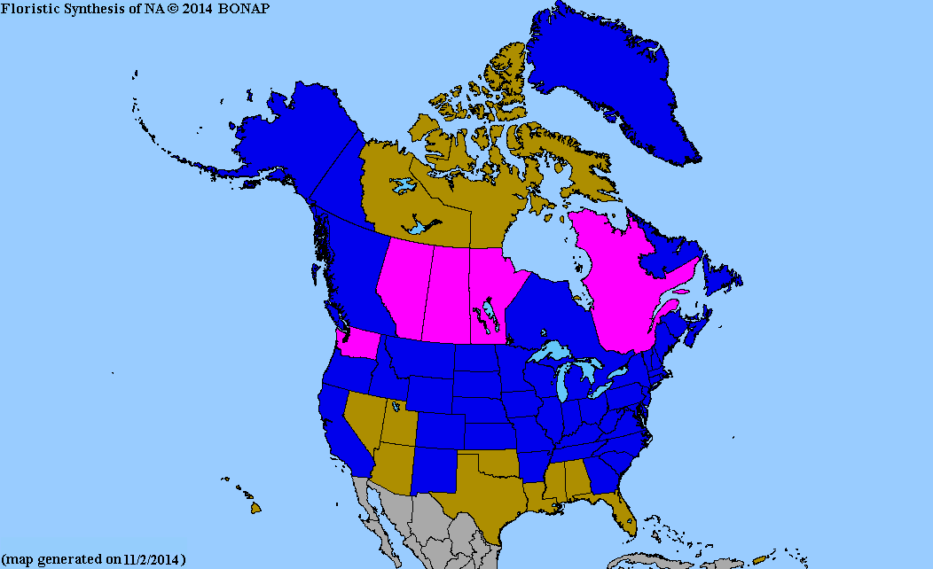 2013 BONAP North American Plant Atlas. TaxonMaps