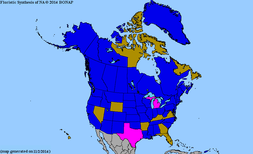 2013 BONAP North American Plant Atlas. TaxonMaps