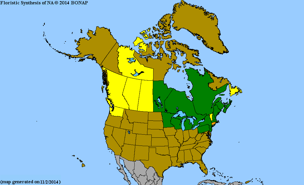 2013 BONAP North American Plant Atlas. TaxonMaps
