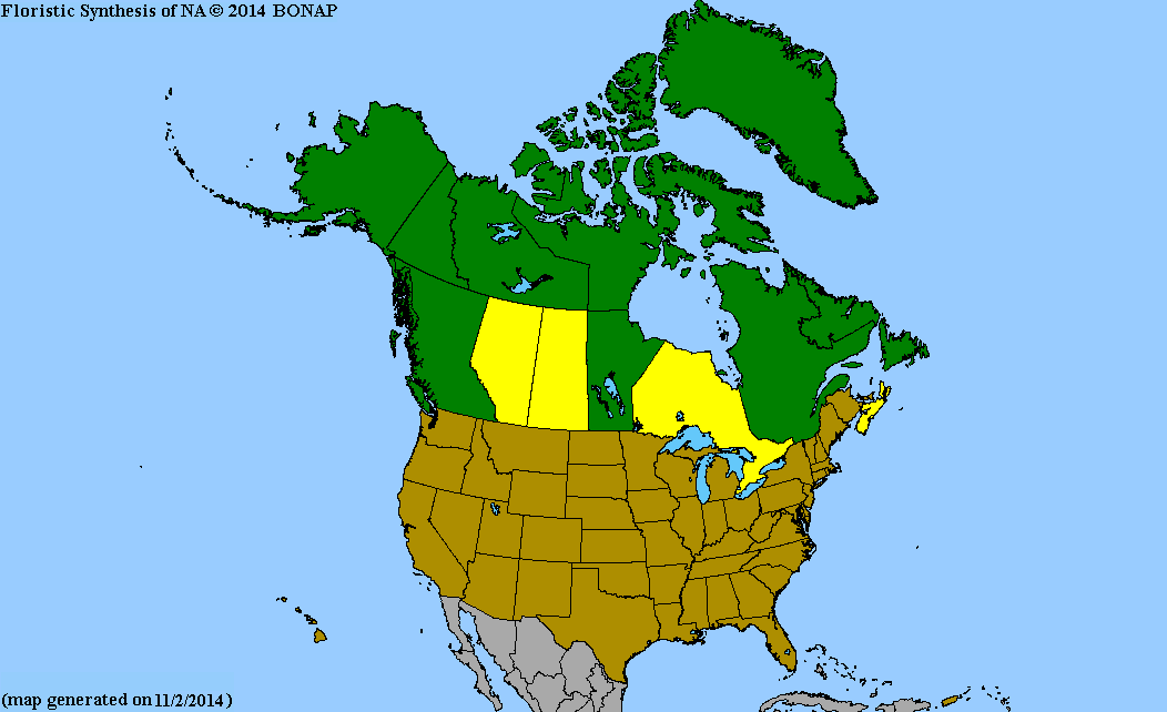 2013 BONAP North American Plant Atlas. TaxonMaps