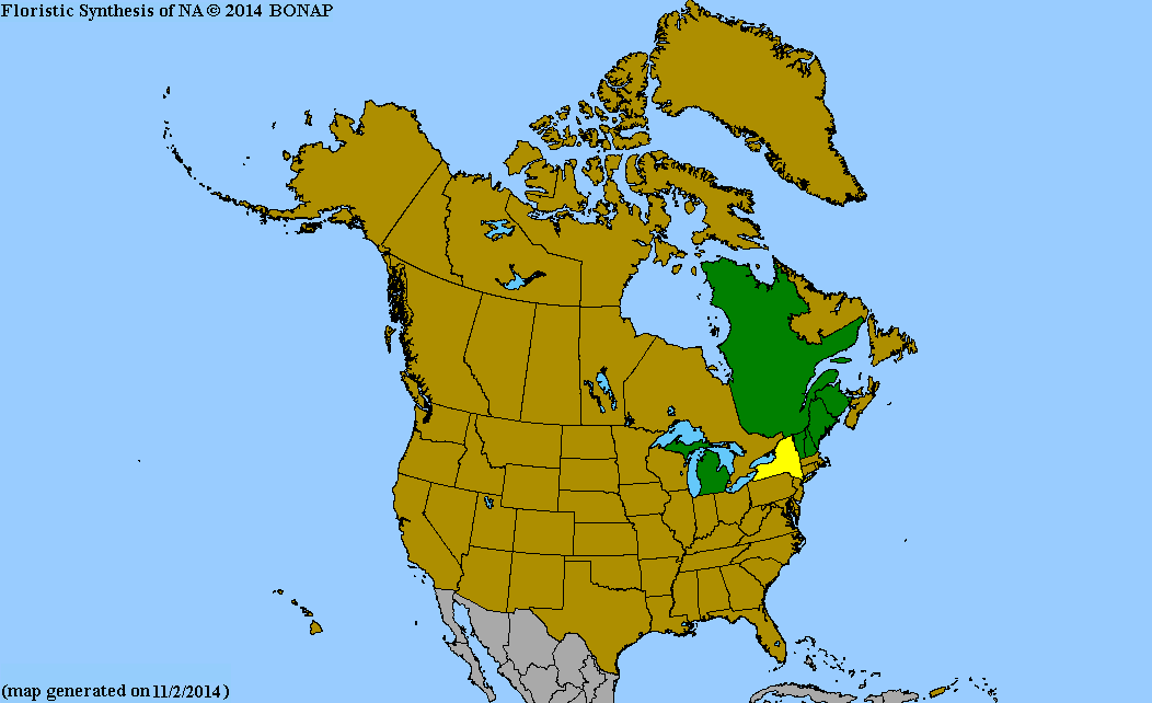 2013 BONAP North American Plant Atlas. TaxonMaps