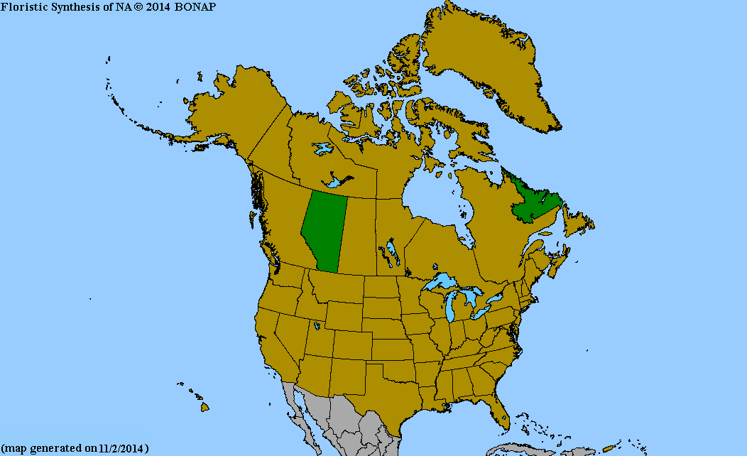 2013 BONAP North American Plant Atlas. TaxonMaps