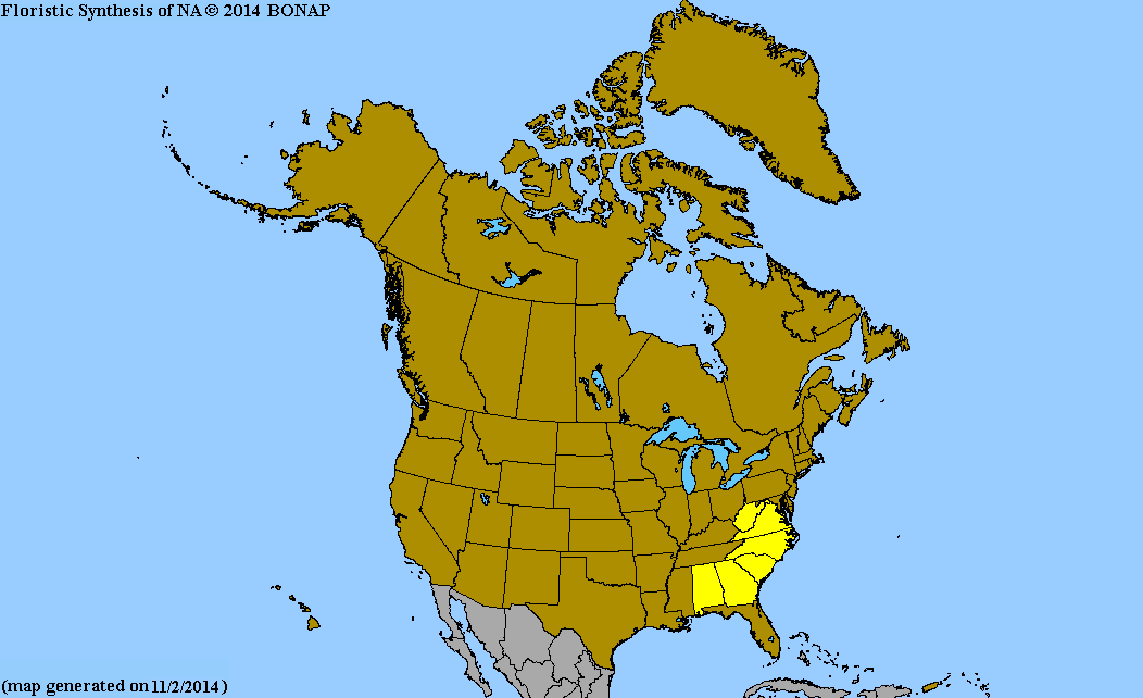 2013 BONAP North American Plant Atlas. TaxonMaps