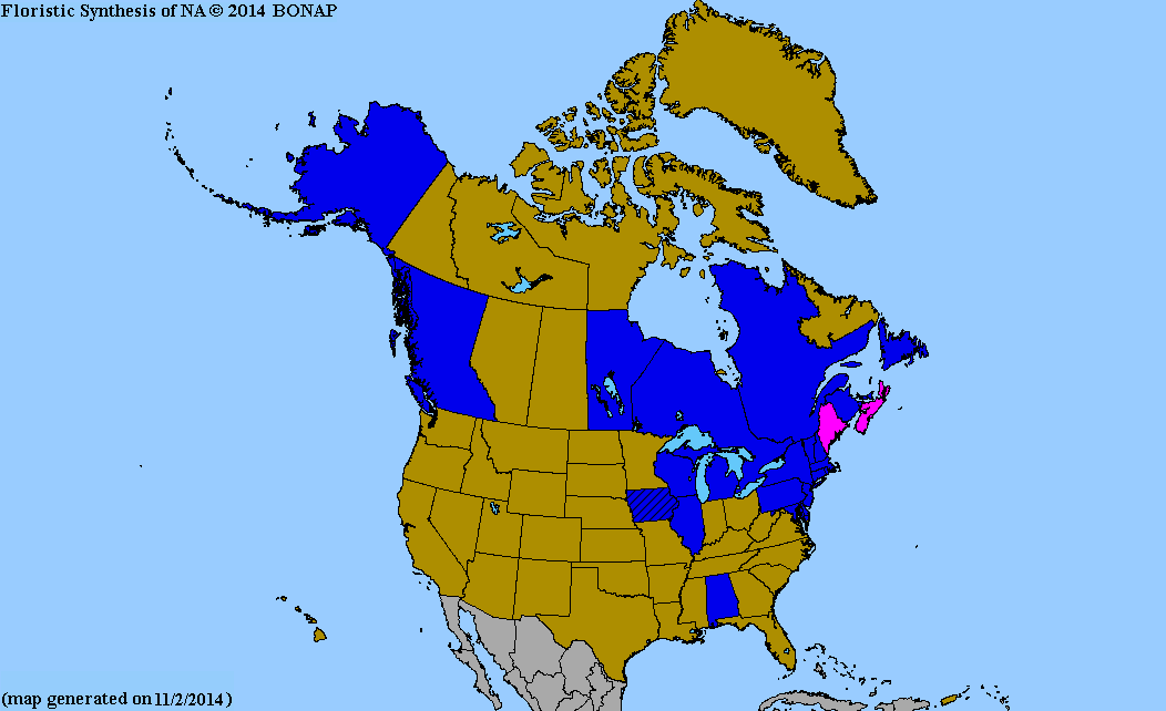 2013 BONAP North American Plant Atlas. TaxonMaps